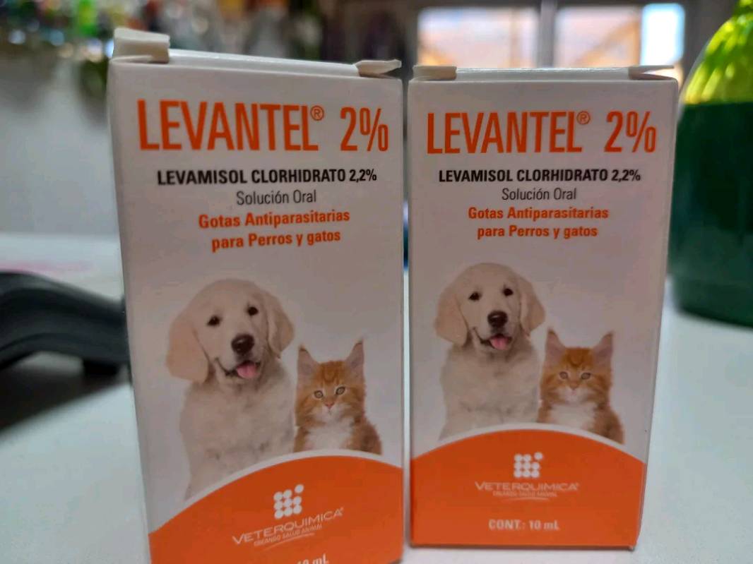 Antiparasitario perro y gato en Santiago de Chile