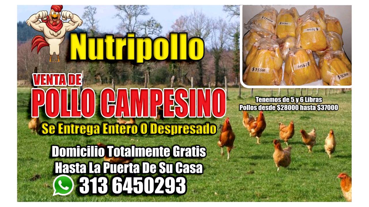 Pollo campesino en Bogota