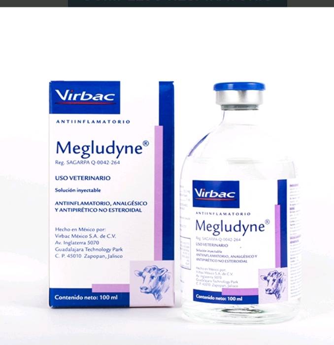 Megludyne 250 ml en Zacatecas