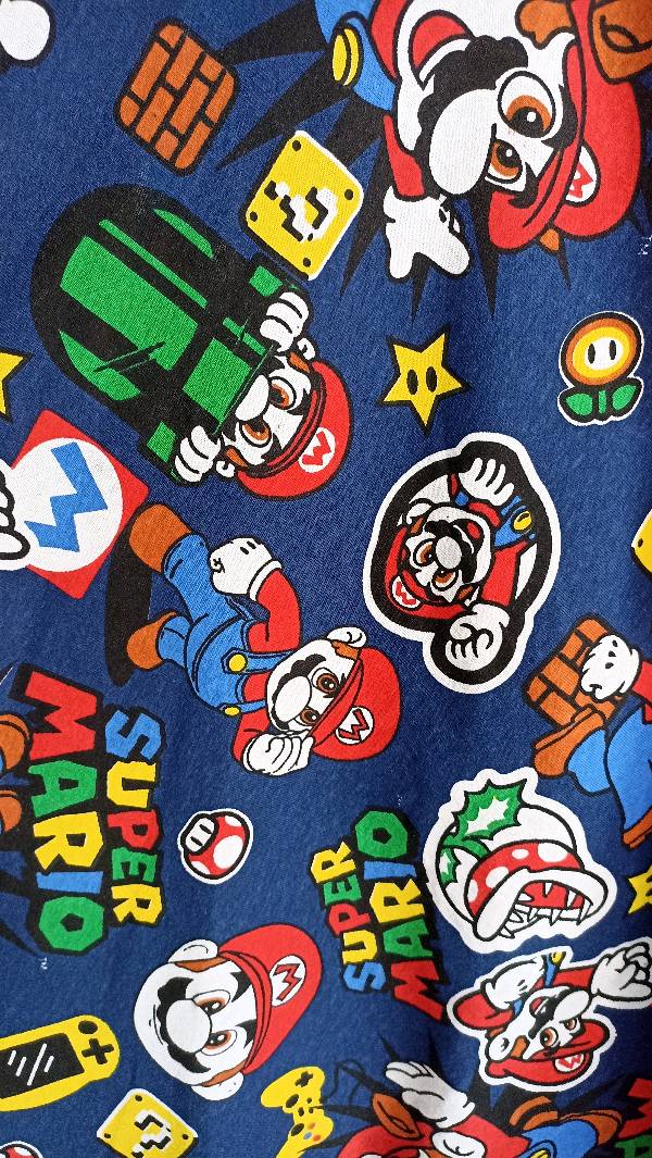 Mario Bros azul en Temascalcingo