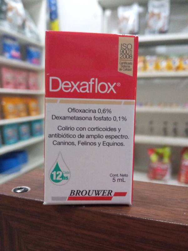Dexaflox en Sucua