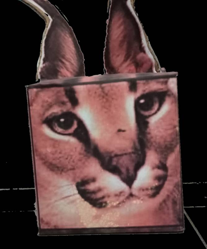 Cardboard Floppa cube// Cubo Floppa de cartón en Mexicali