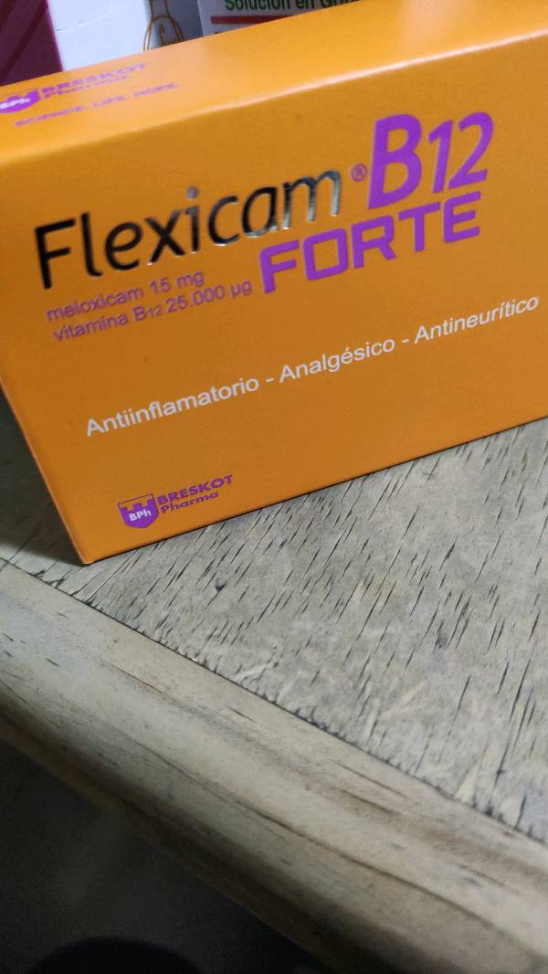 Flexicam B12F en Oruro