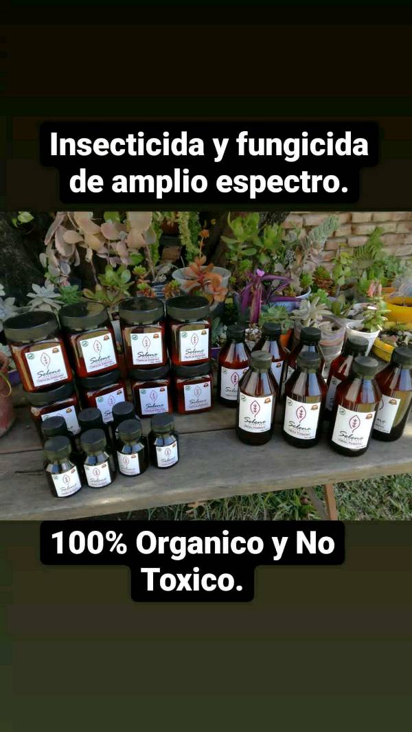 Insecticidas y Funguicidas Organicos y Naturales en Buenos Aires