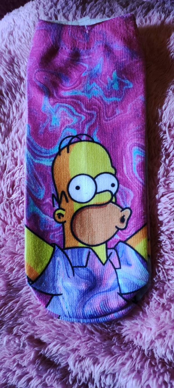 Homero en Panguipulli