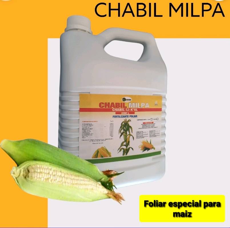 Cabil Milpa en San Pedro Carcha