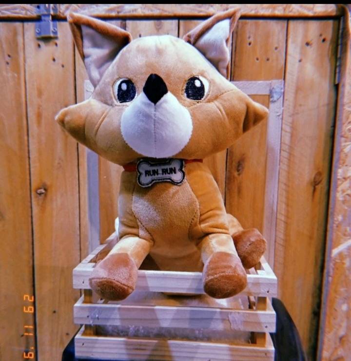 Zorrito run run en Lima