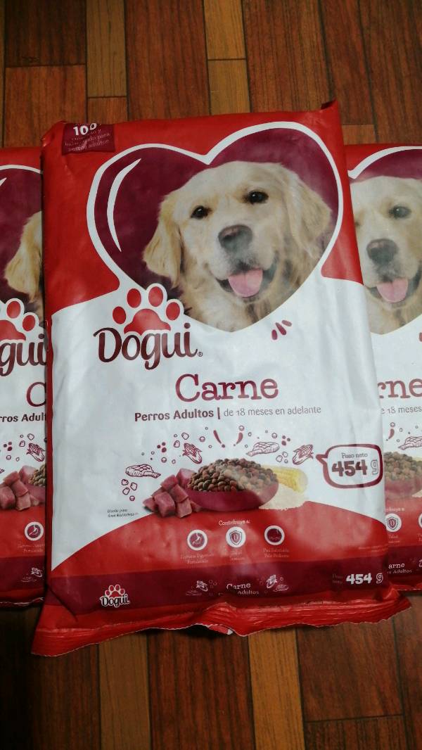 Dogui adulto en Guatemala City