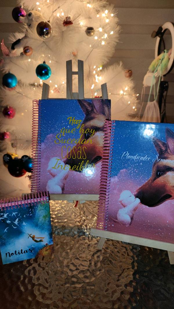 Set de libretas para apuntes y planificador semanal 2022 en Osorno