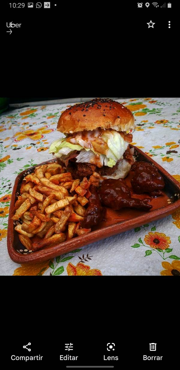 Mega tiritas con papas (pechuga) en ctm 14