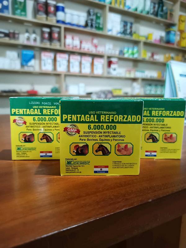 Pentagal Reforzado en santa cruz guarayos