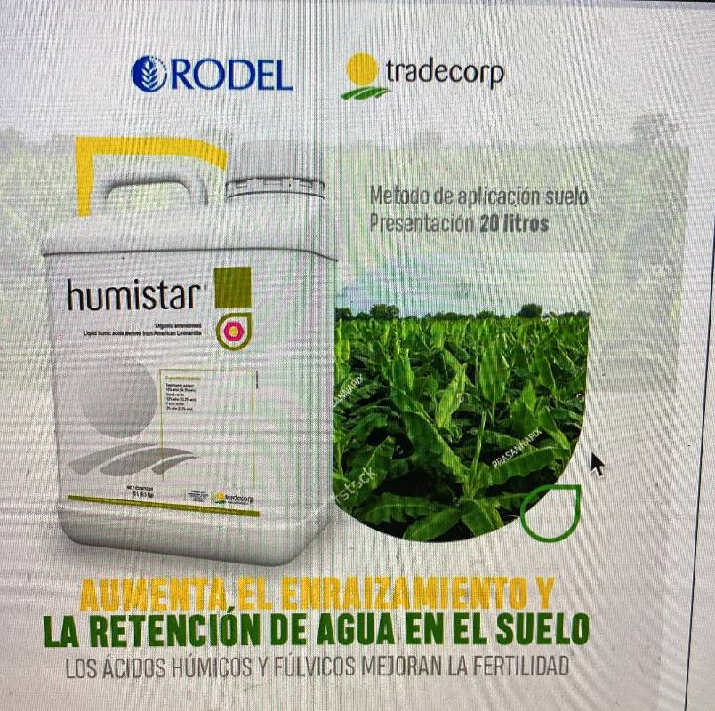 Humistar en Salinas