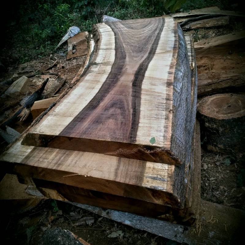 Slabs De Conacaste en Guatemala City