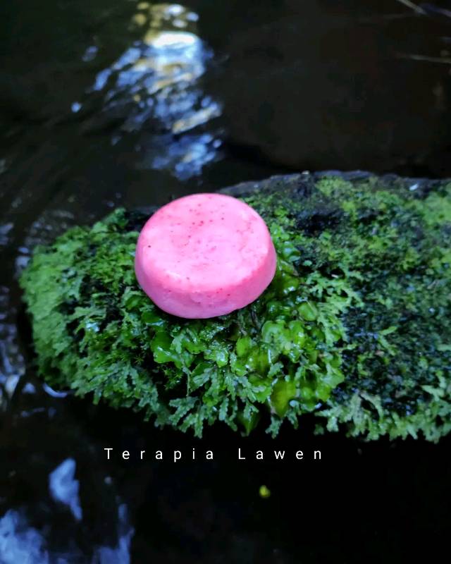 Acondicionador Rosa Mosqueta en Tirua