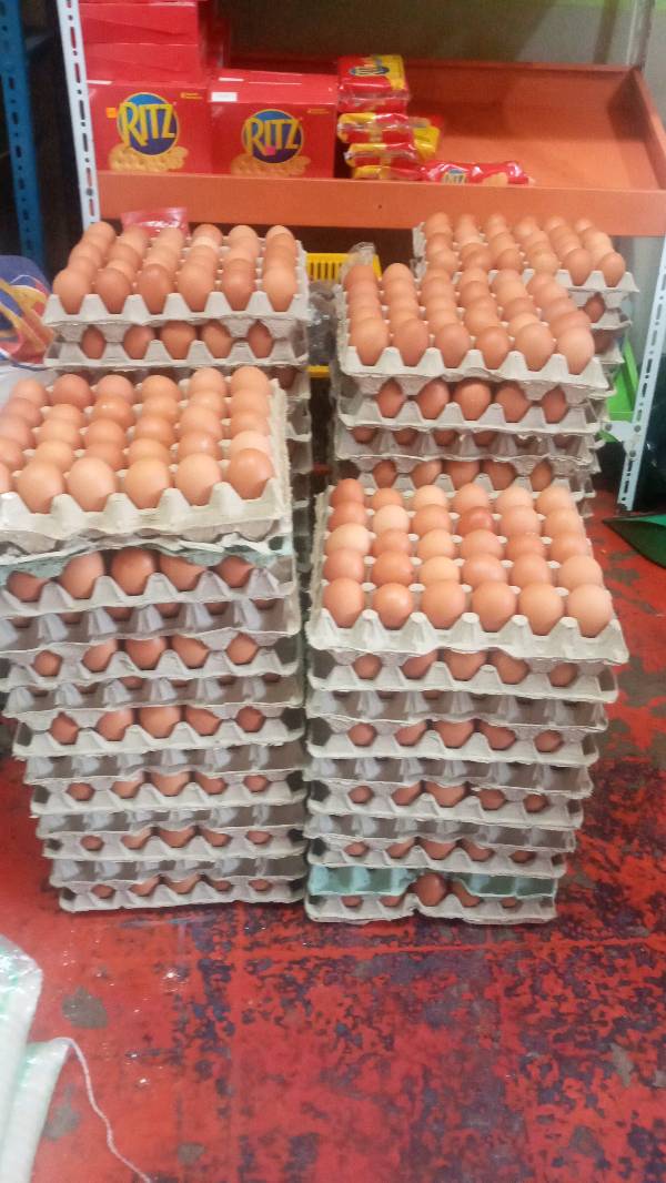 Cubeta de huevos en Loja