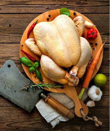 Pollo Semicriollo en Tababela