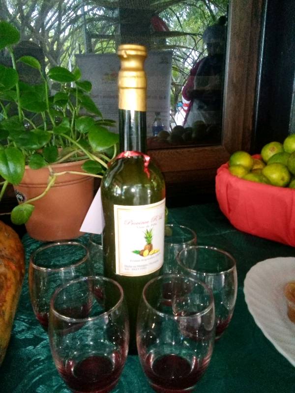 Vino de coyolito y frutas tropicales en Ticuantepe