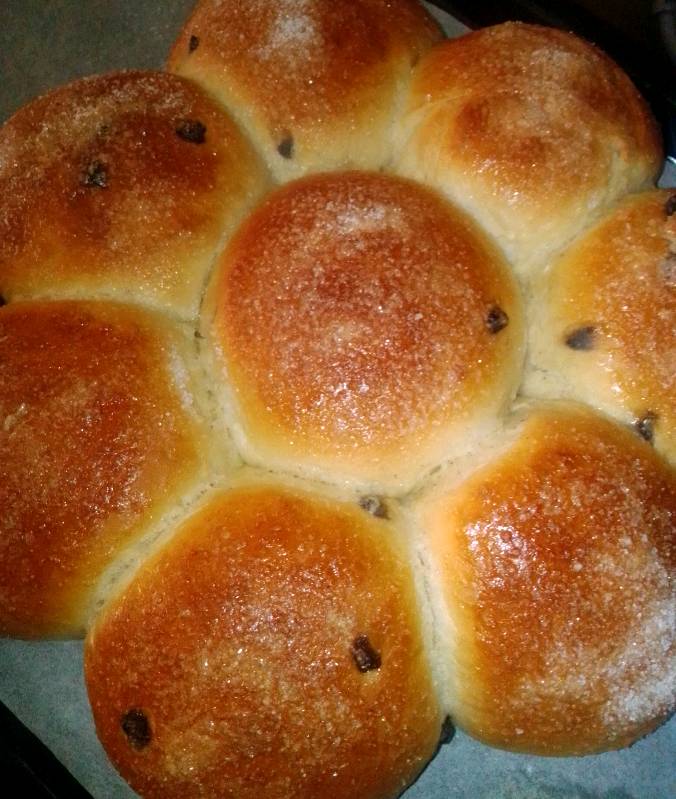 Pan pata de gato con gotas de chocolate en Vargas