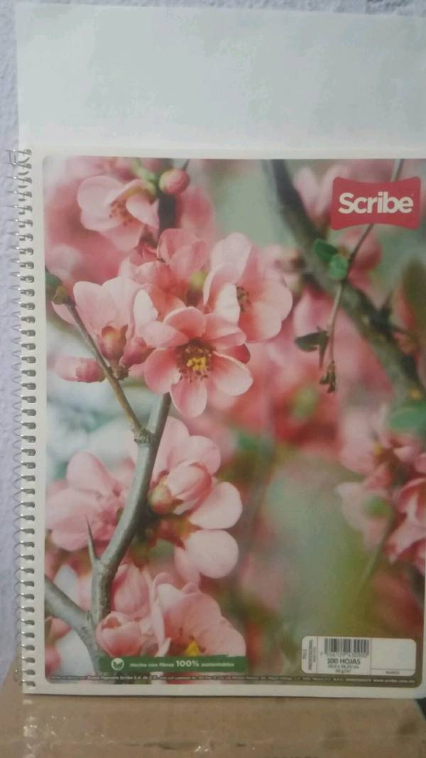 Libreta profesional SCRIBE dibujo 100 hojas en Torreon