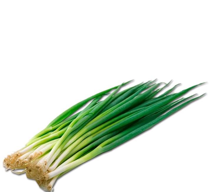 Cebollín (Precio por Kilo) en Lagunillas