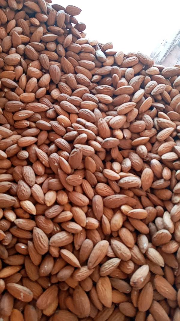 Almendras naturales en Santiago