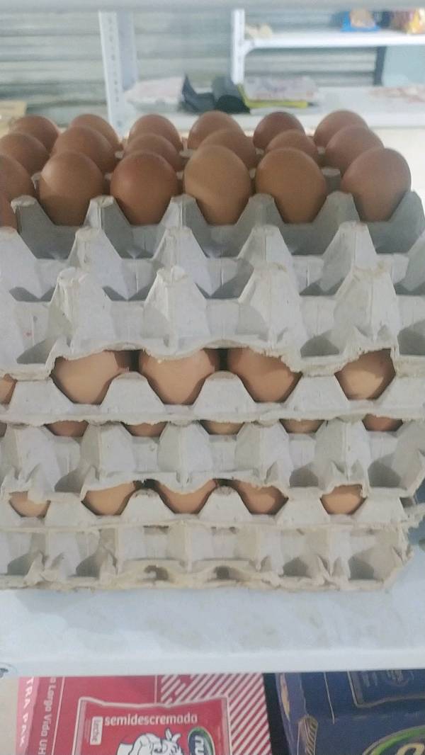 Cubeta Huevos en Balsas