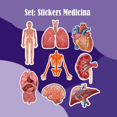 Stickers anatomia, medicina, colegios. en Cochabamba