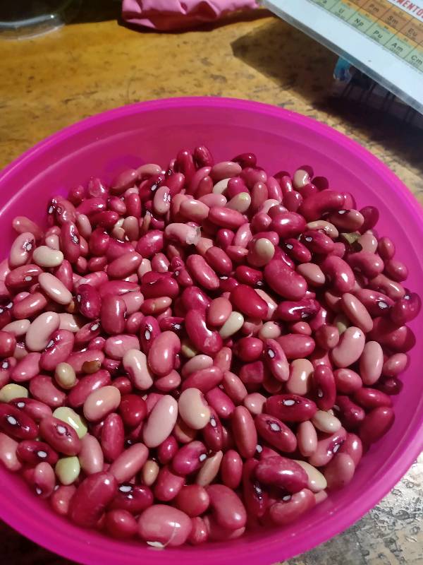 Frijol tierno en Cartago