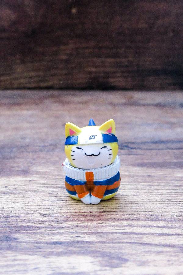 Gato Naruto en Zumpango del Rio