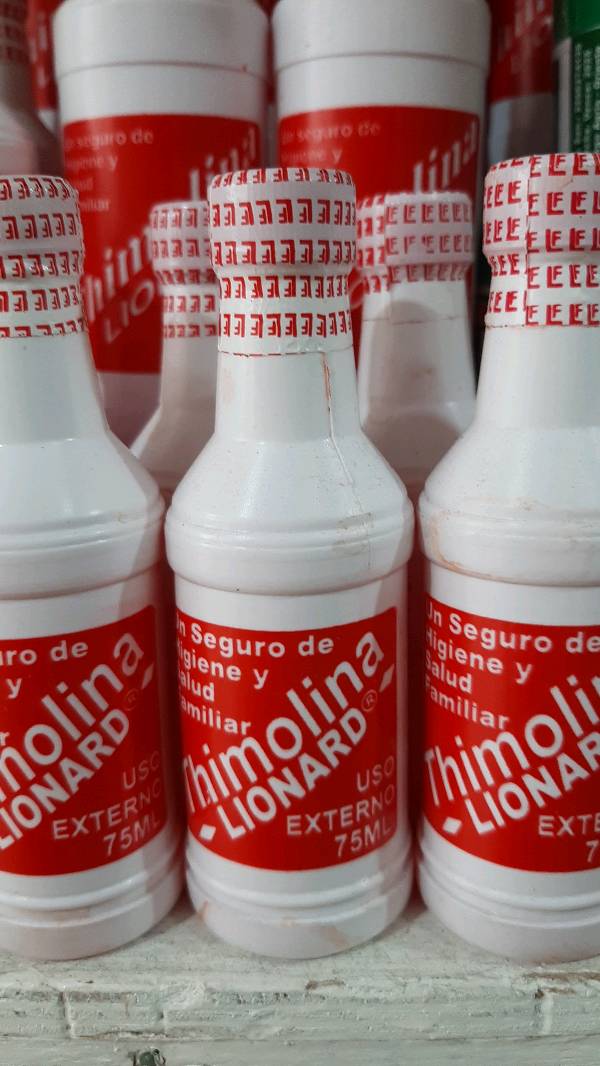 Timolina Grande en Cuenca