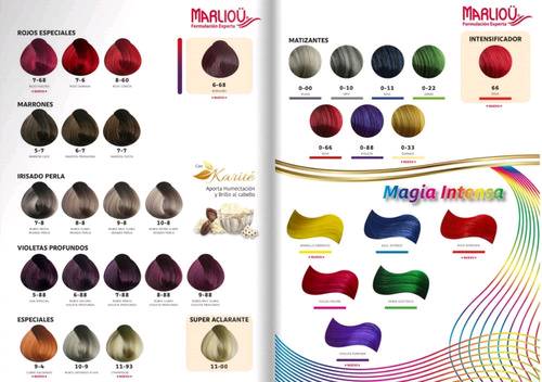 Tinte Marliou 60 Grs en Alvaro Obregon