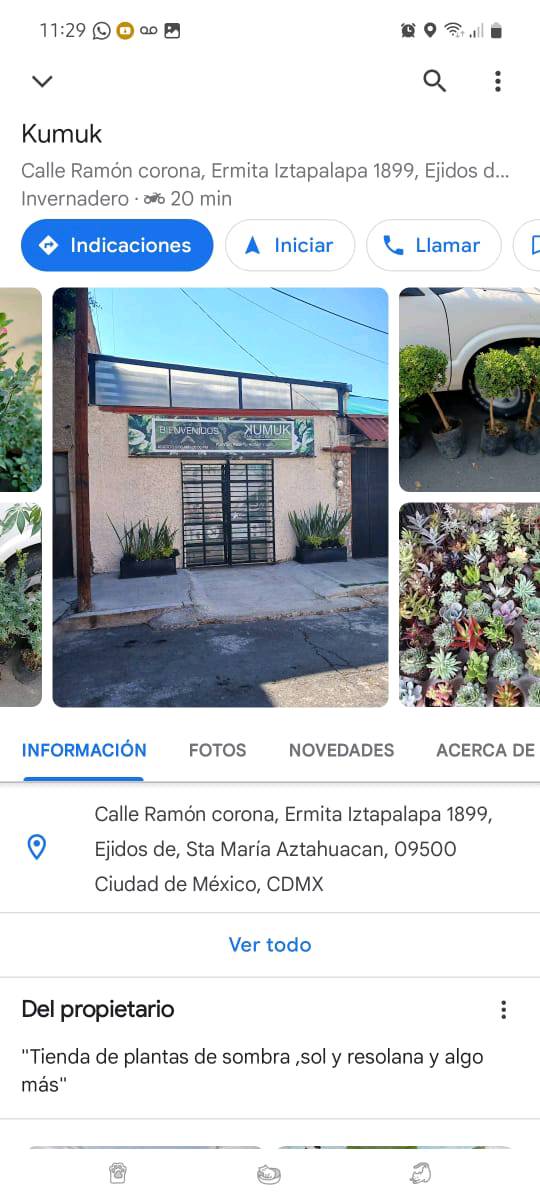 Tienda de plantas Naturales kumuk en Ciudad de Mexico