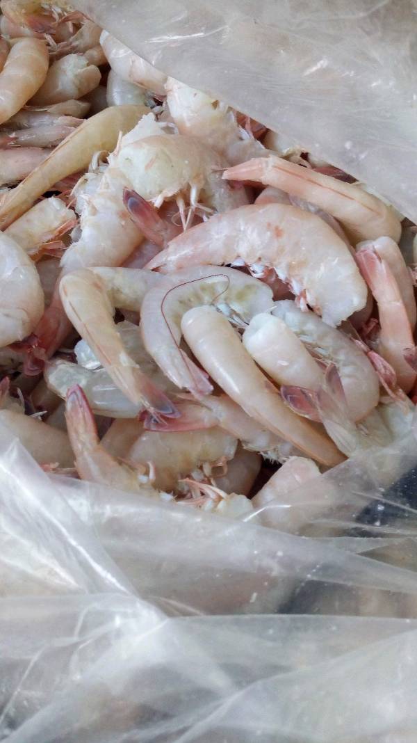 Camaron de mar pacotilla en Yucatán