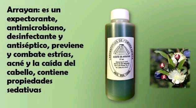 ACEITE DE ARRAYAN en Chapulhuacan