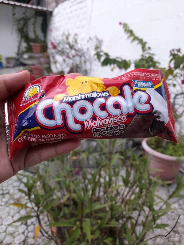 Chocale en San Miguel