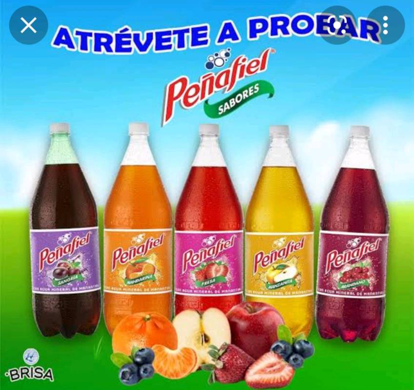 Peñafiel sabores 2lt en Guadalajara