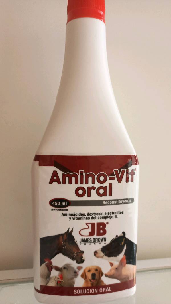 Amino-vit en Latacunga