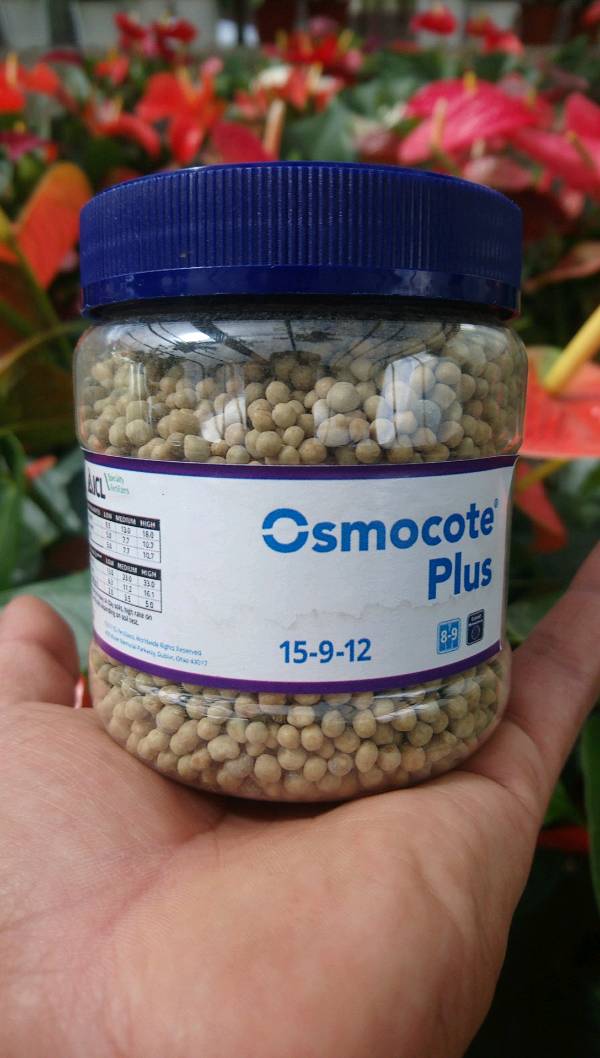 Osmocote Plus 15-9-12 8-9 Meses en Guatemala City