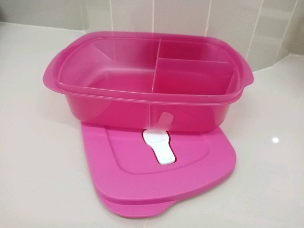 Micro flash rectangular con divisiones tupperware en Merida