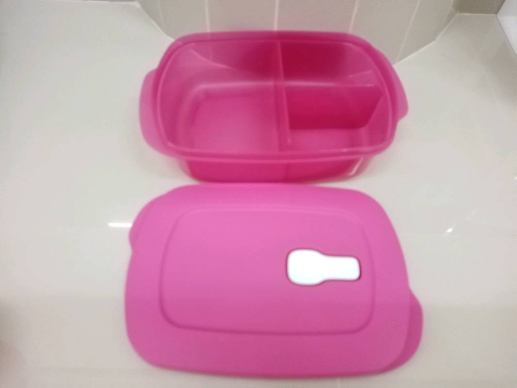 Micro flash rectangular con divisiones tupperware en Merida