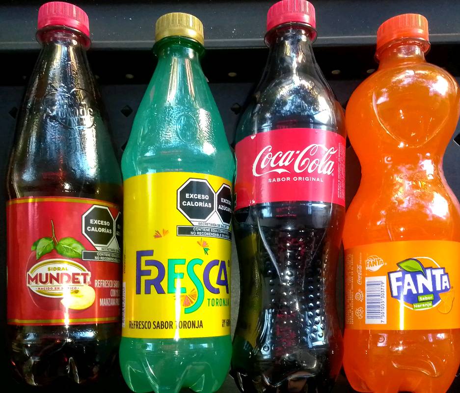 Familia Coca-Cola Pet 600 ml en Mexico City