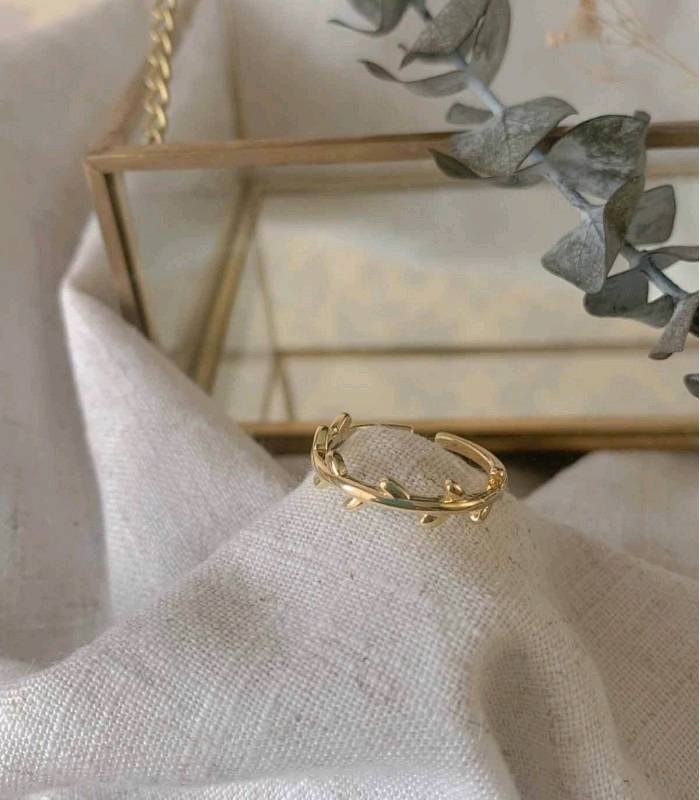 Anillo rama en Floridablanca