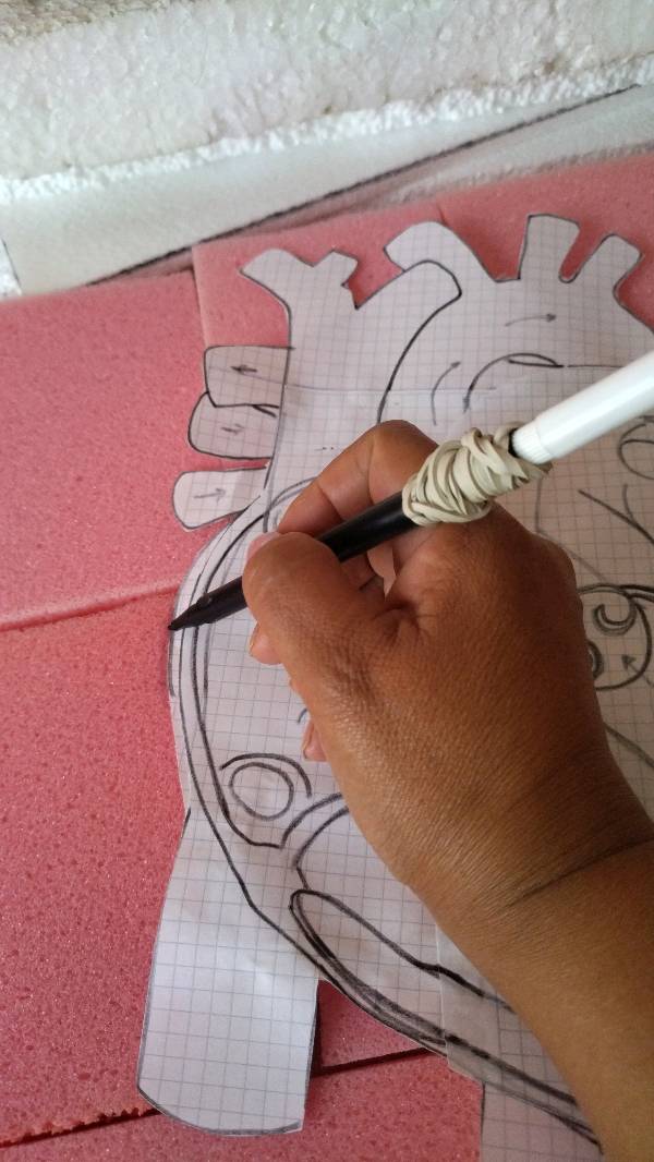 Maqueta del Corazón funcional en Quito