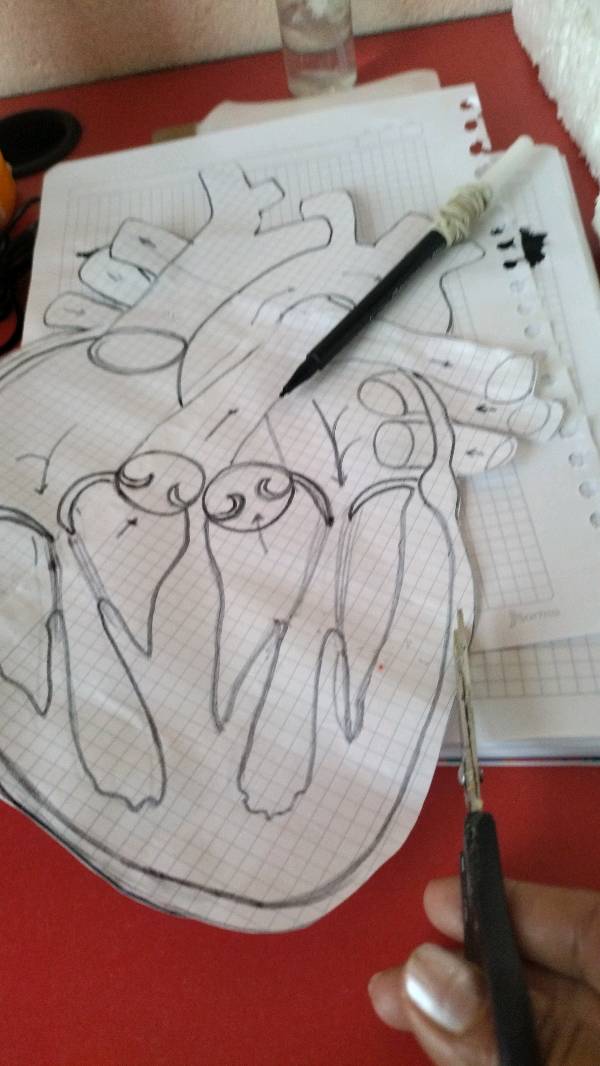 Maqueta del Corazón funcional en Quito