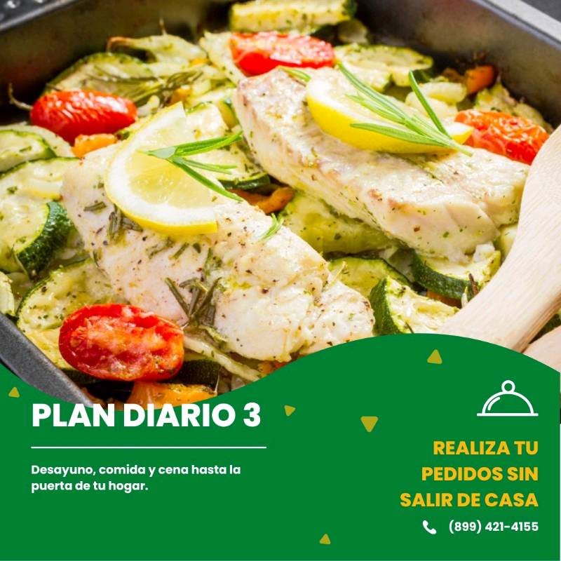 Plan diario 3 en Reynosa