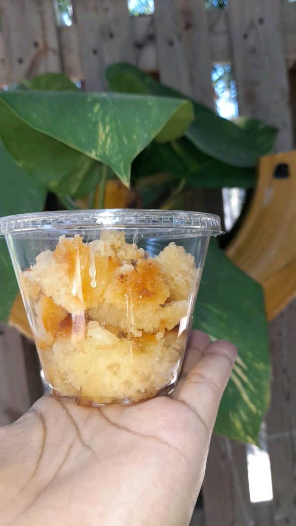 Dulce de coco horneado. en Santo Domingo