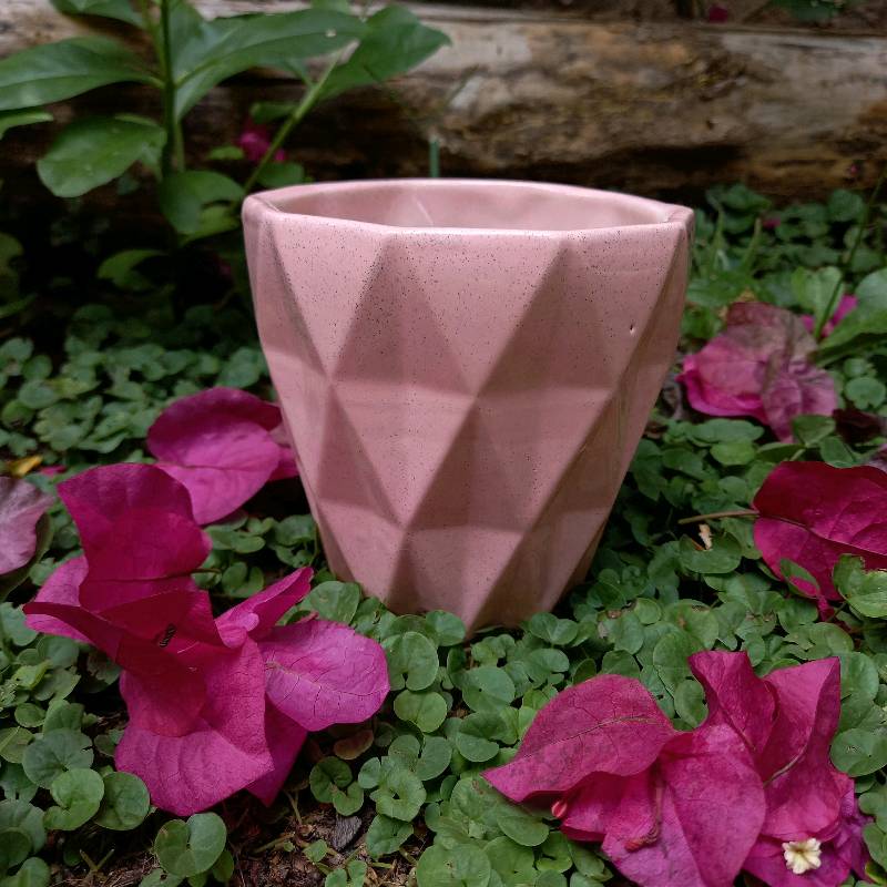 Maceta Rombo rosa en Buenos Aires