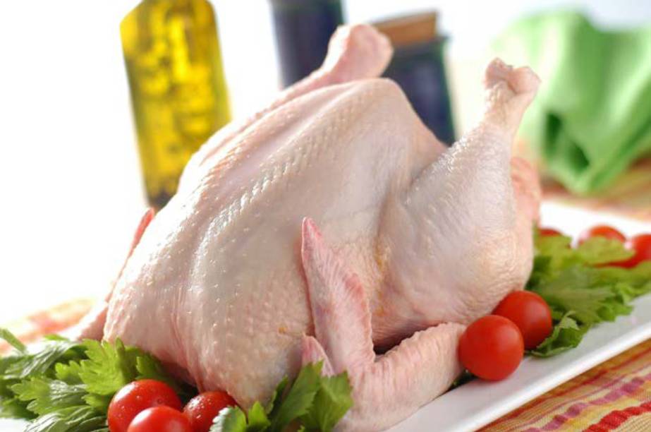 POLLO RECIÉN MATADO🐓🐤 (POLLO FRESCO) en Quintana Roo