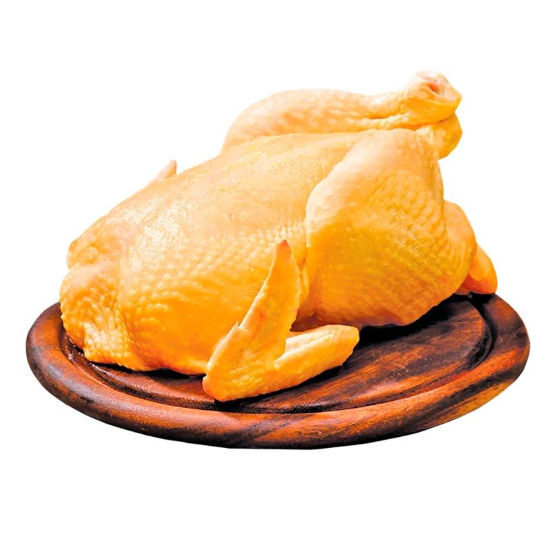 POLLO RECIÉN MATADO🐓🐤 (POLLO FRESCO) en Quintana Roo