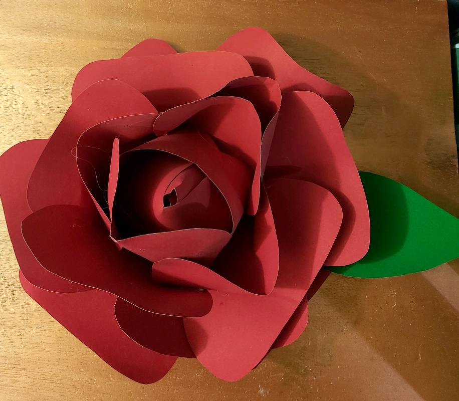 Rosas grandes en Ciudad de Guatemala